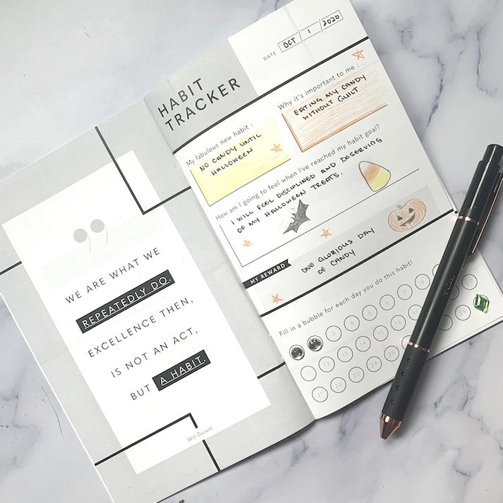 Habit Tracker Notebook | Habit Tracker Journal – Lovet Planners